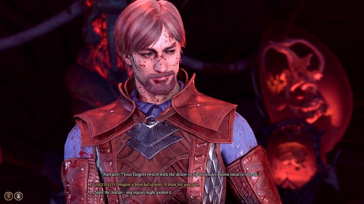 Baldurs Gate 3: Myrnath und das sprechende Gehirn – Nautiloid ...